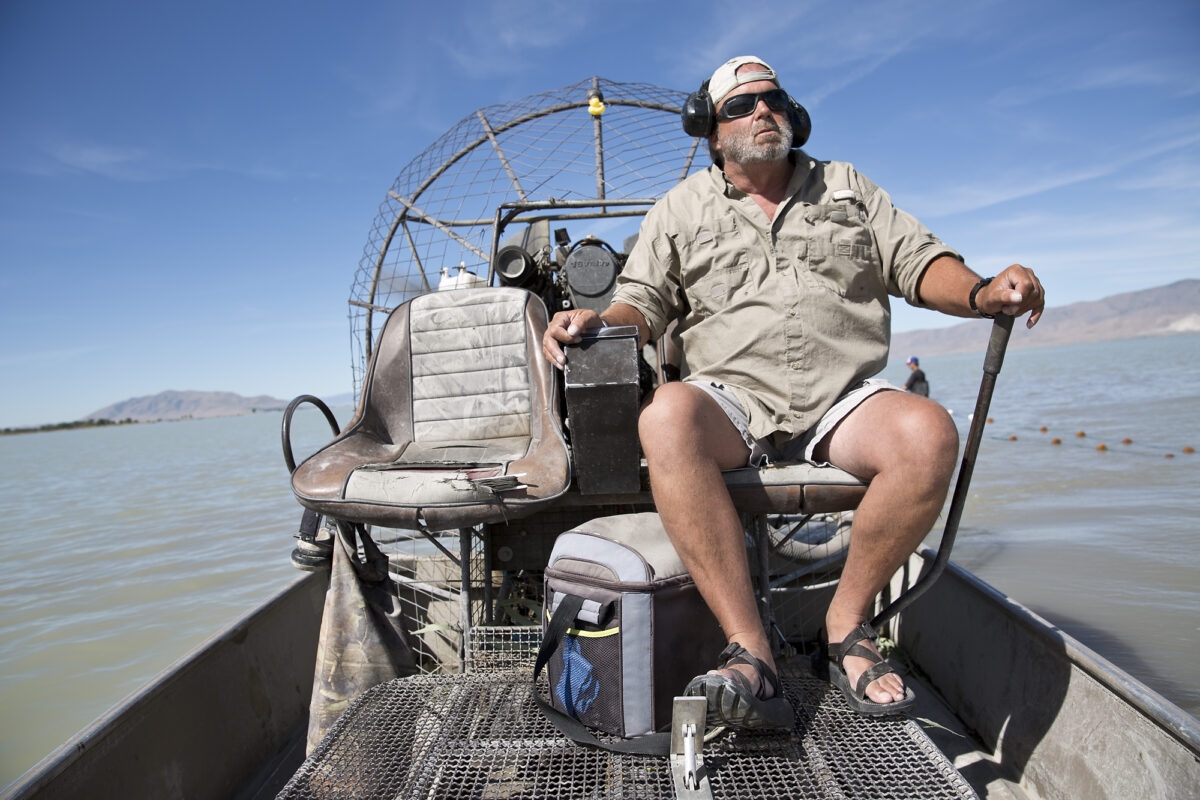 After many years, Utah Lake’s carp removal project starting to see some ...